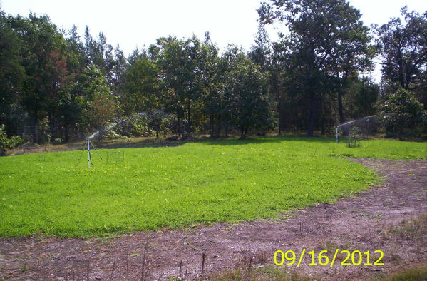 Food Plot Irrigation System | Wildlife Habitat - Lets talk.....