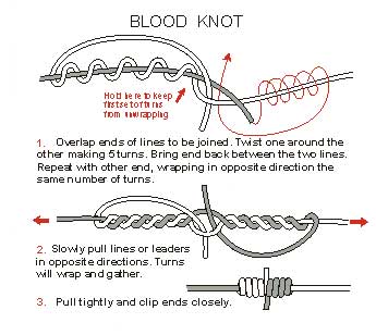 Fishing Knots